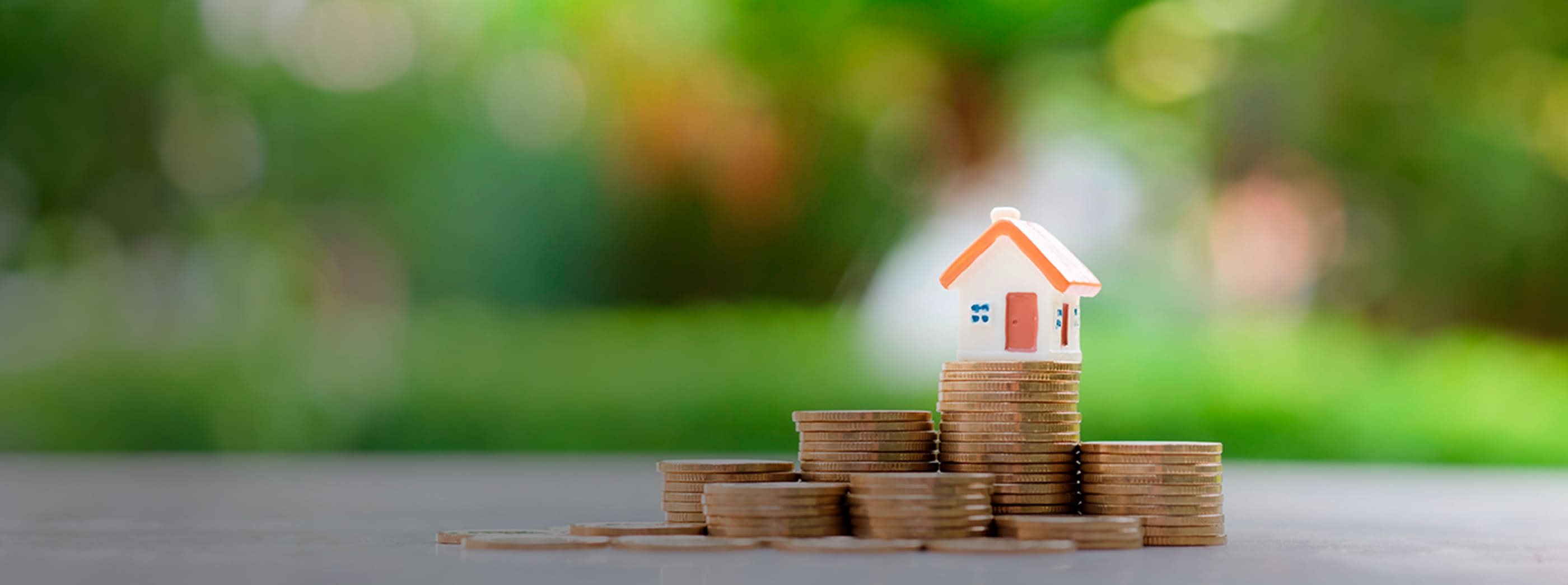 Todo lo que debes saber sobre el valor de la UMI en México | Rankmi México